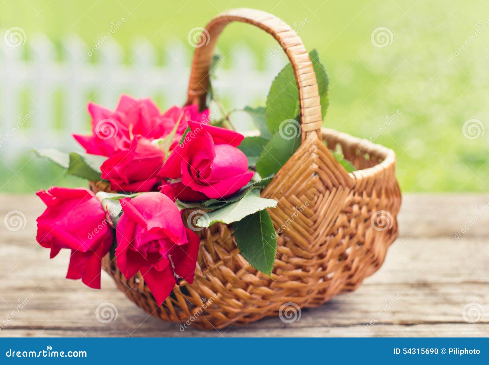 Beautiful Roses in the Basket Stock Photo - Image of spring, basket ...
