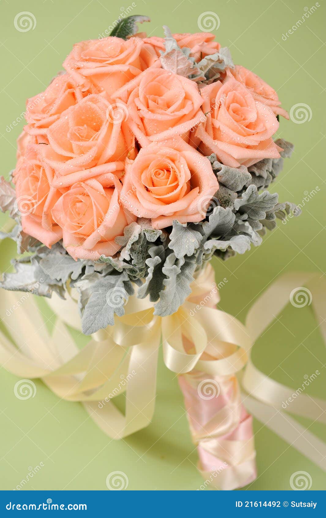 Beautiful roses bouquet stock photo. Image of drops, congratulations ...