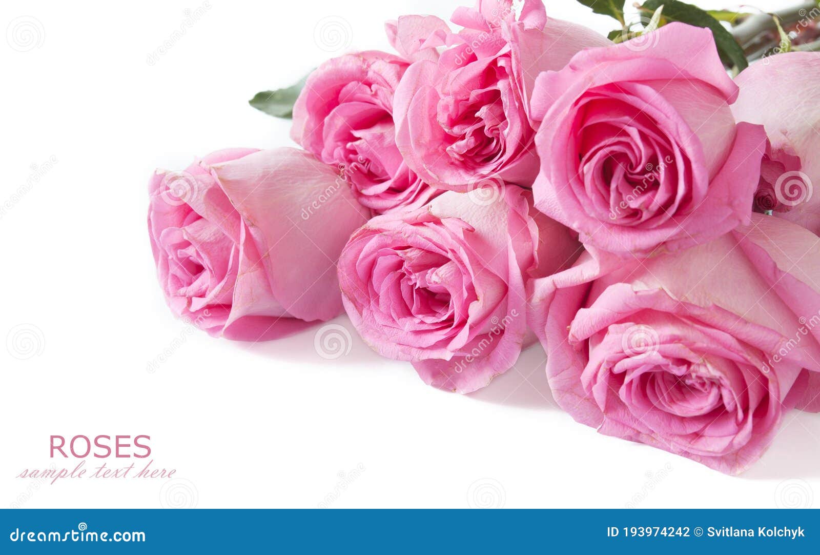 Beautiful Roses Bunch Isolated on White Stock Photo - Image of bouquet ...