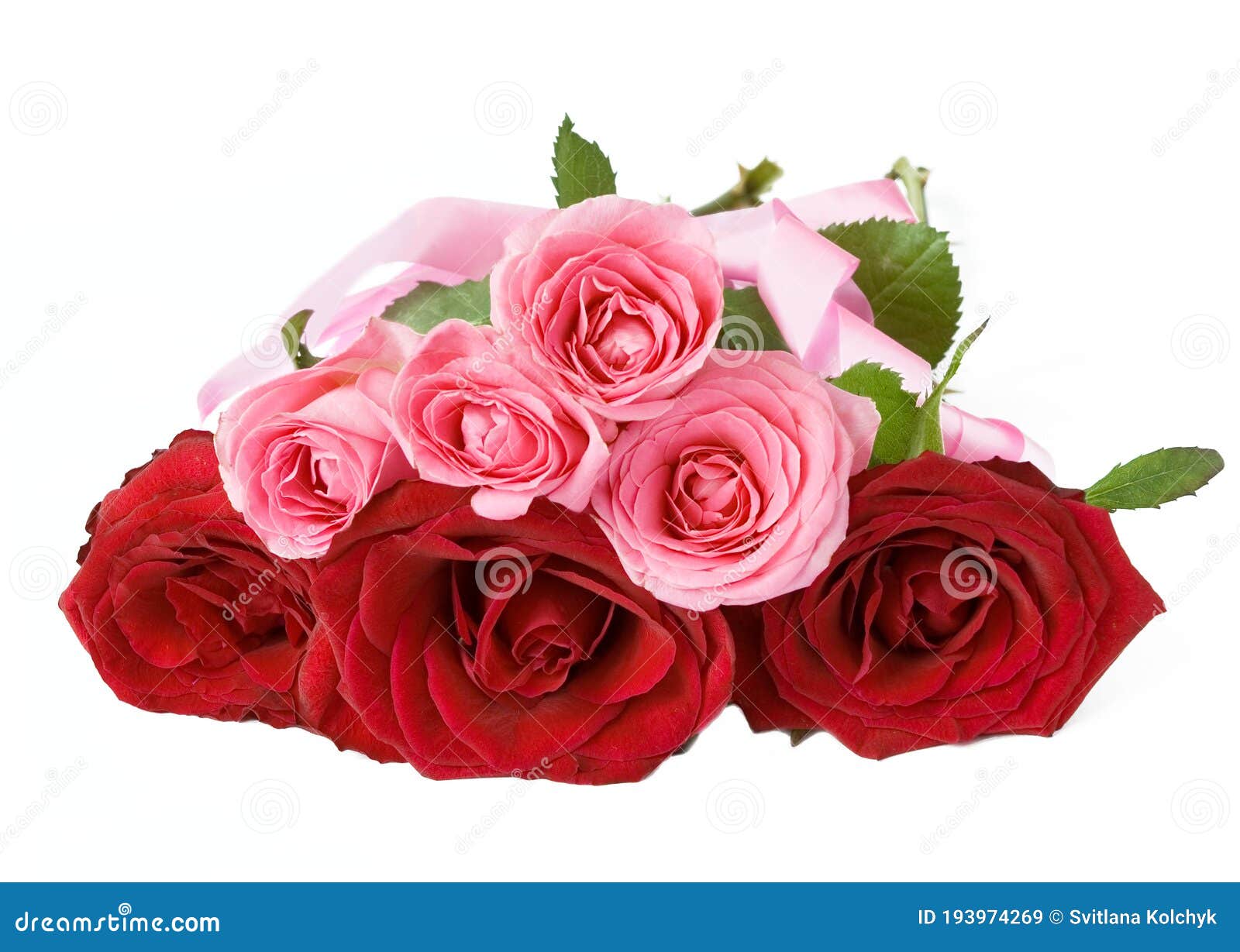 Beautiful Roses Bunch Isolated on White Stock Image - Image of garden ...