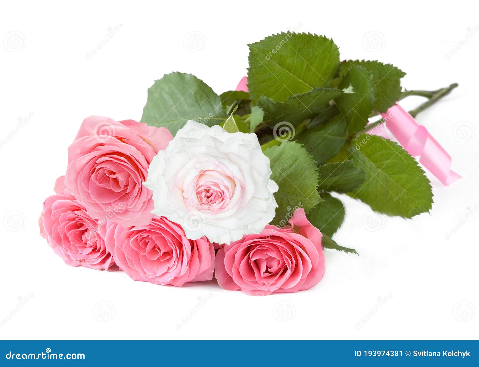 Beautiful Roses Bunch Isolated on White Stock Image - Image of ...