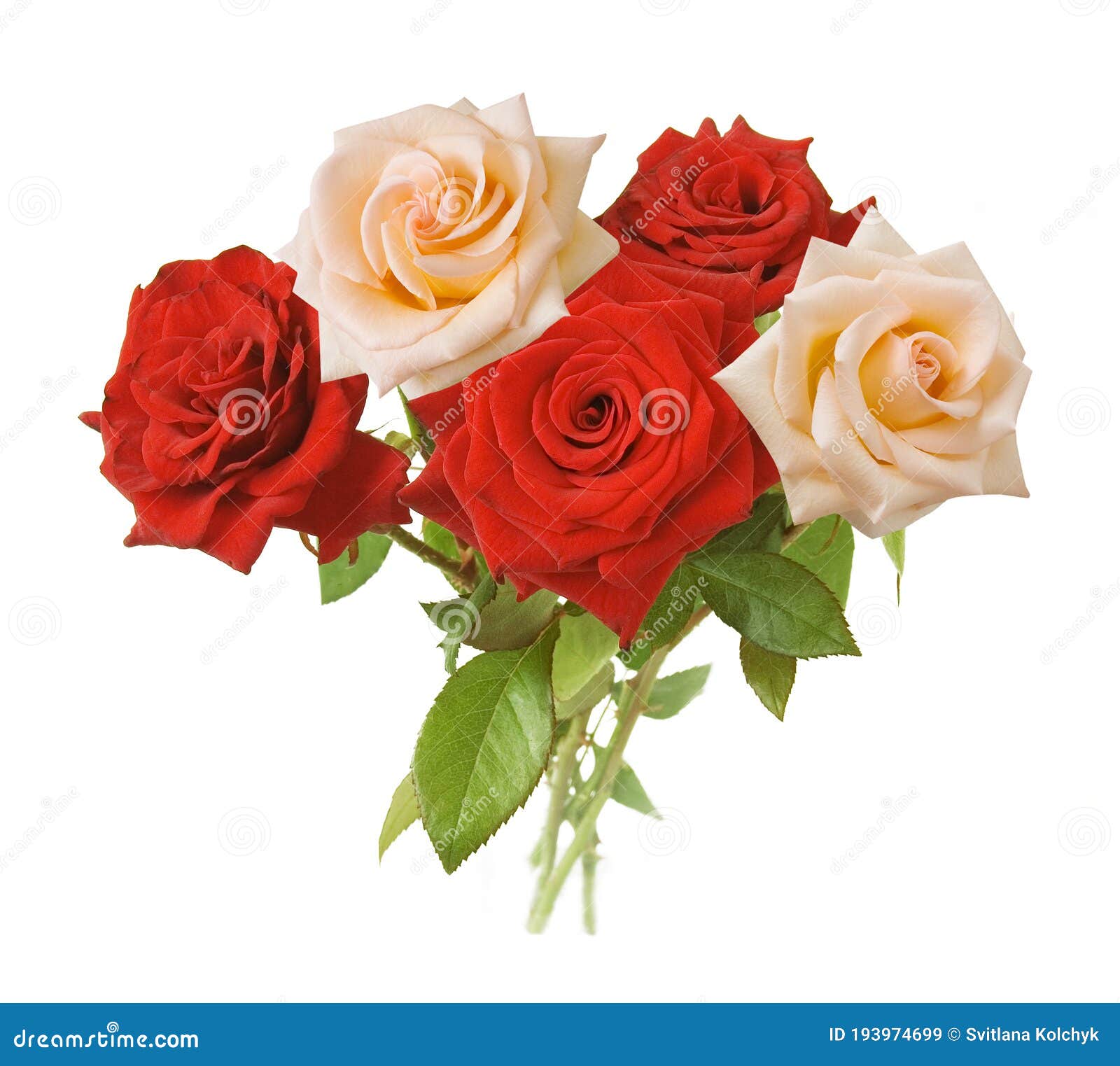 Beautiful Roses Bunch Isolated on White Stock Image - Image of flower ...