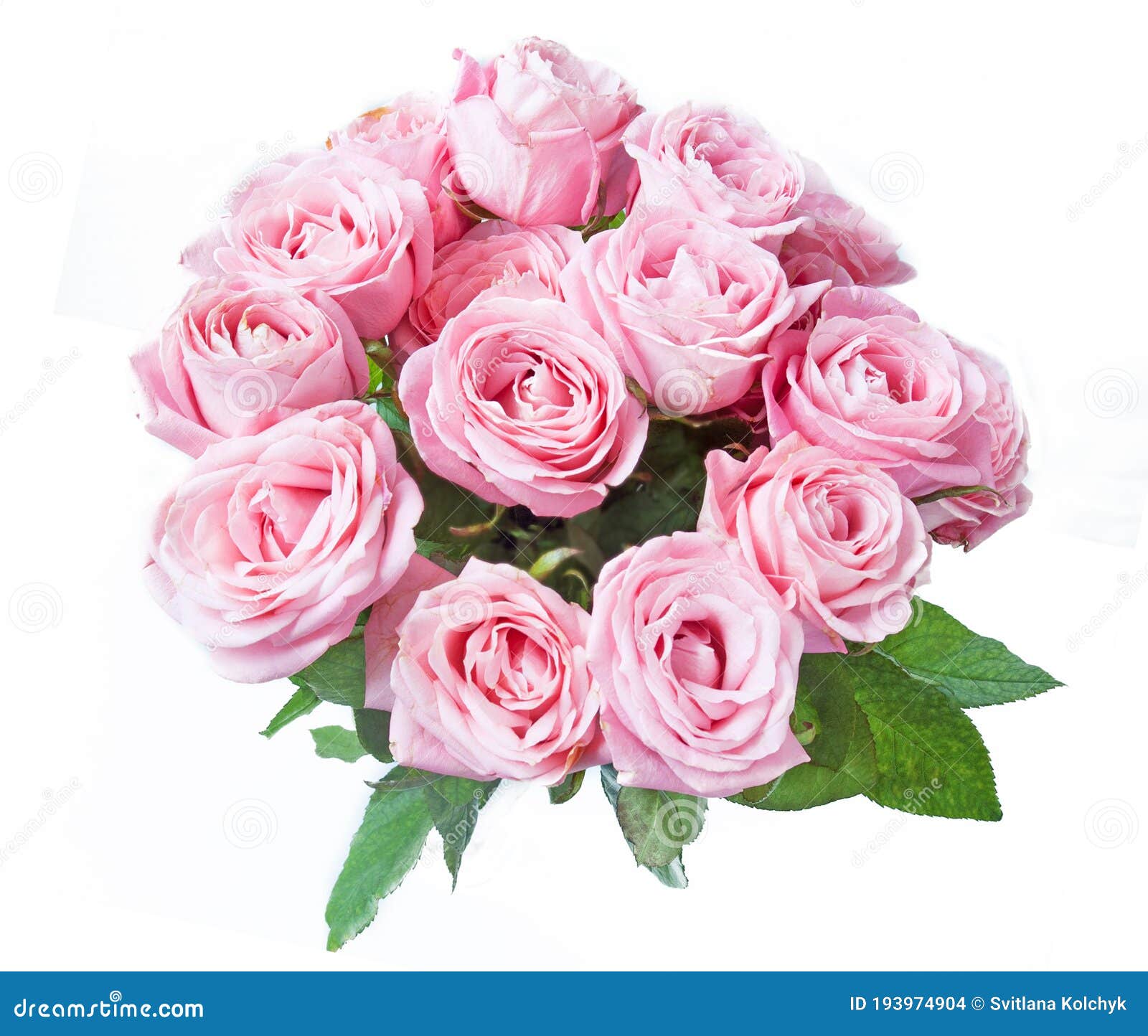 Beautiful Roses Bunch Isolated on White Stock Photo - Image of floral ...