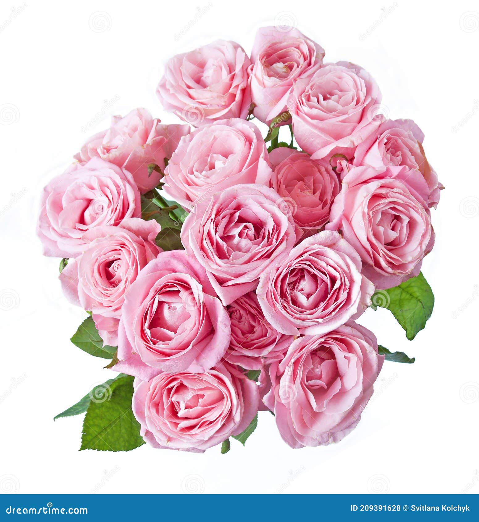 Beautiful Roses Bunch Isolated on White Stock Photo - Image of yellow ...