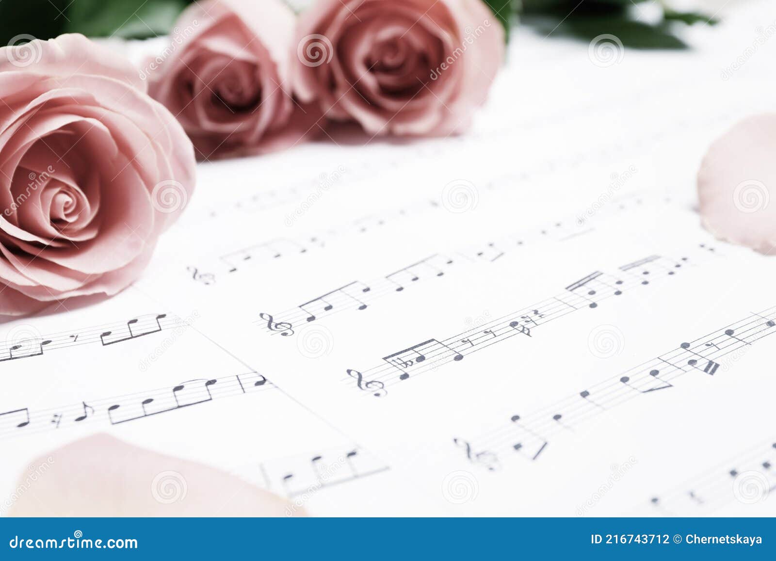 Beautiful Roses, Focus on Sheet with Music Notes. Space for Text Stock ...