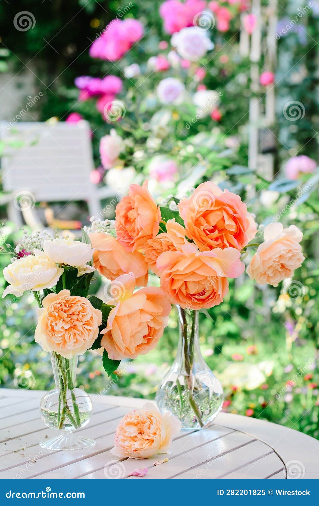Beautiful Roses in a Glass Vase Stock Image - Image of vase, fresh ...