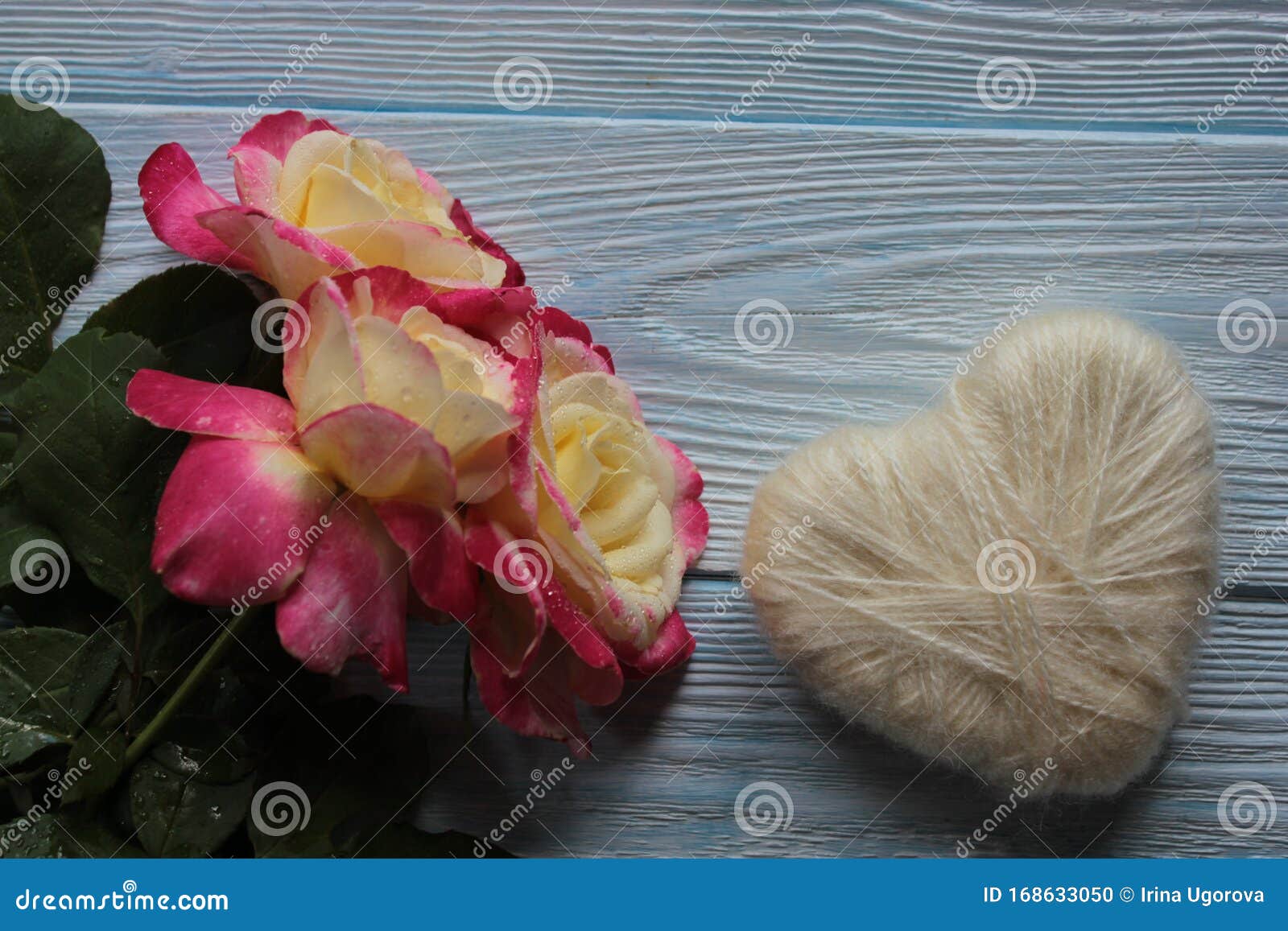 Beautiful Roses and a Heart Made of Thread. Stock Photo - Image of ...