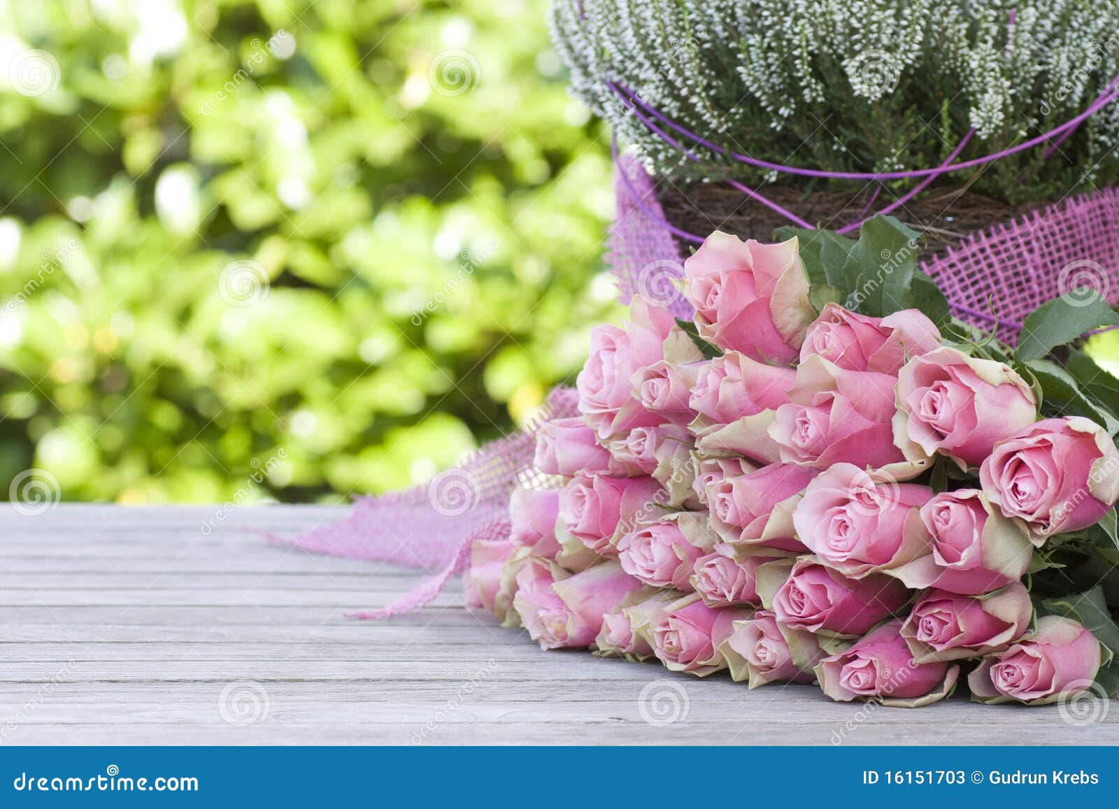 Beautiful Roses and Heather Stock Image - Image of floral, heather ...