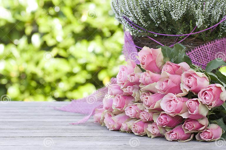Beautiful Roses and Heather Stock Image - Image of floral, heather ...