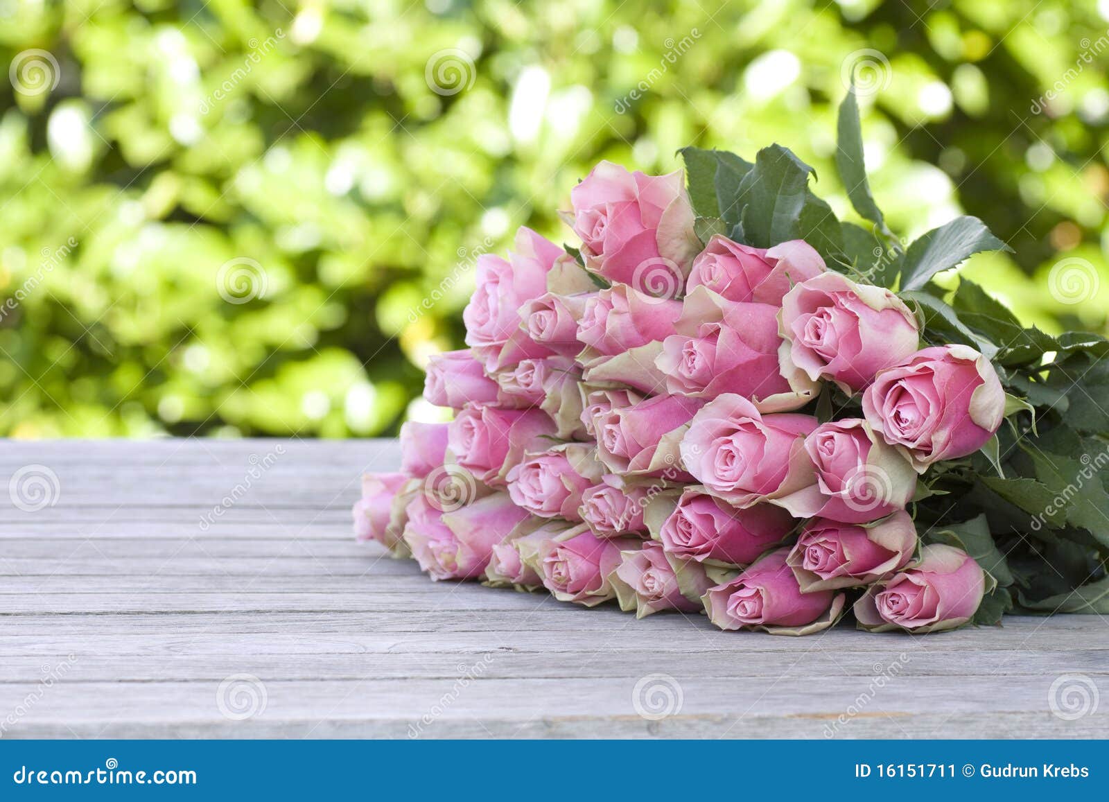 Beautiful Roses Lying on a Wooden Table Stock Image - Image of floral ...