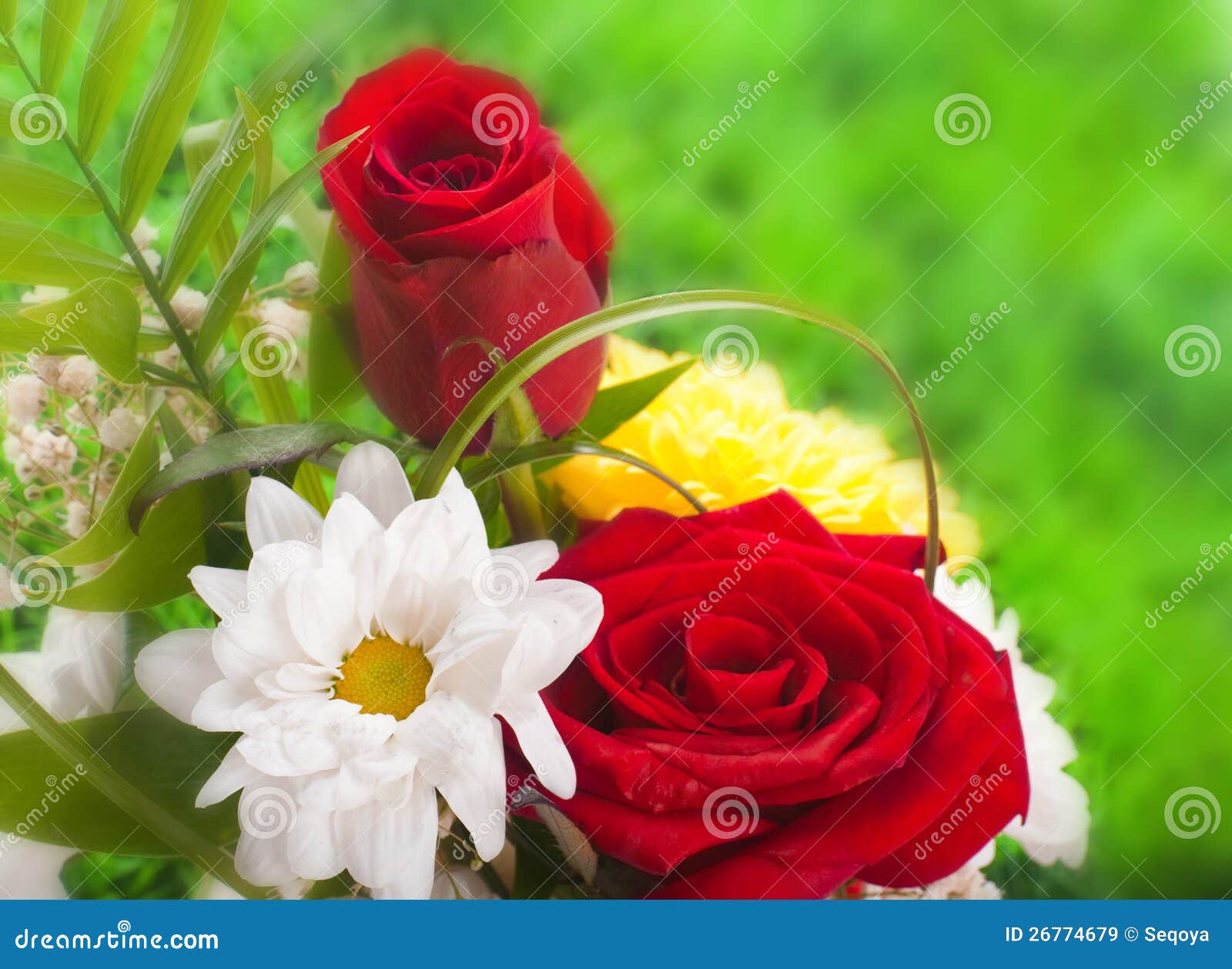 Beautiful Roses in Retro Style Stock Image - Image of pink, thorn: 26774679