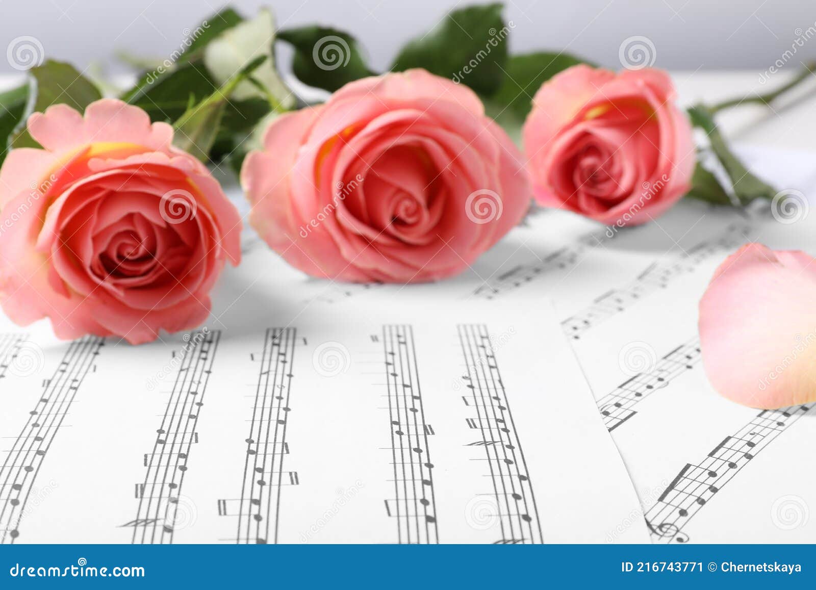 Beautiful Roses on Sheets with Music Notes Stock Image - Image of ...