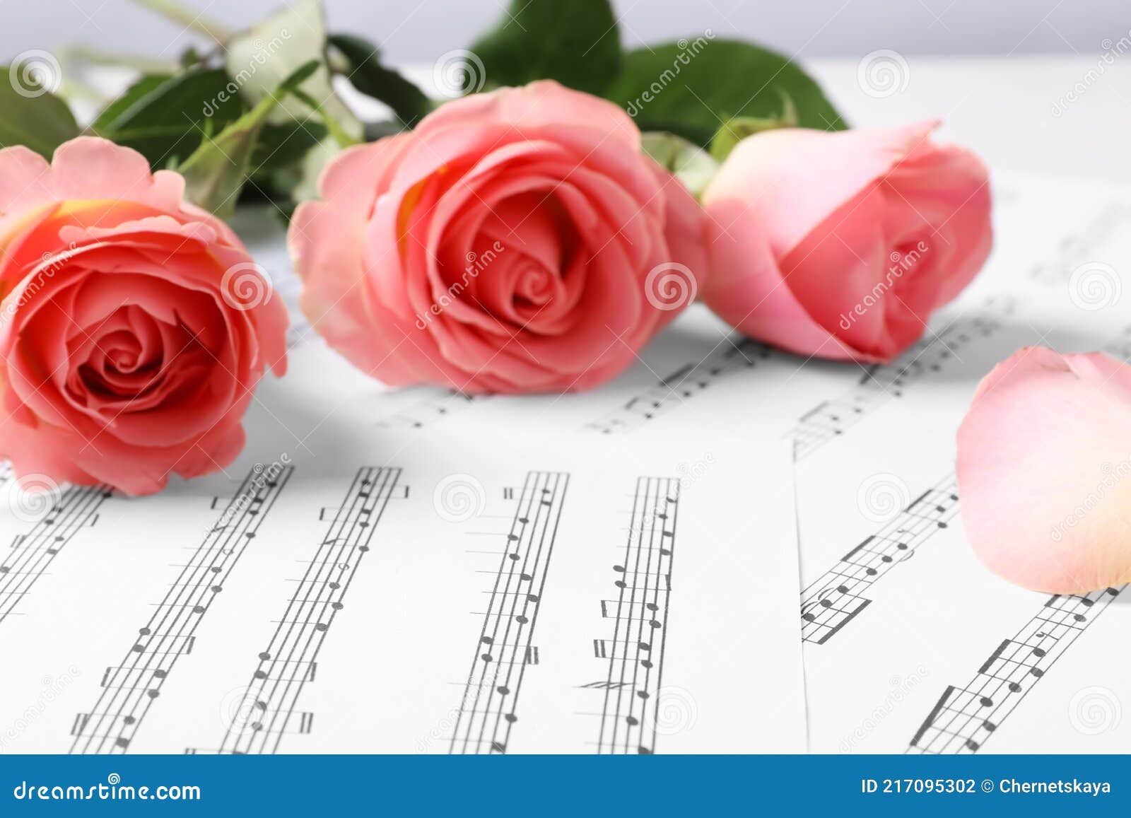 Beautiful Roses on Sheets with Music Notes Stock Photo - Image of ...