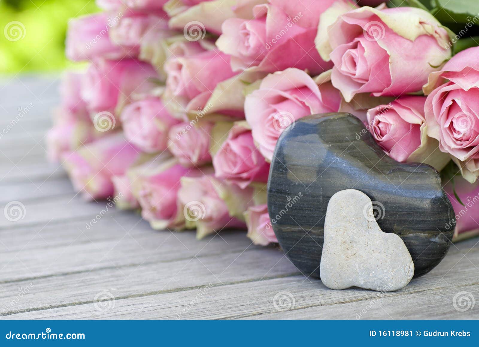 Beautiful Roses with Two Hearts Stock Image - Image of love, ribbon ...