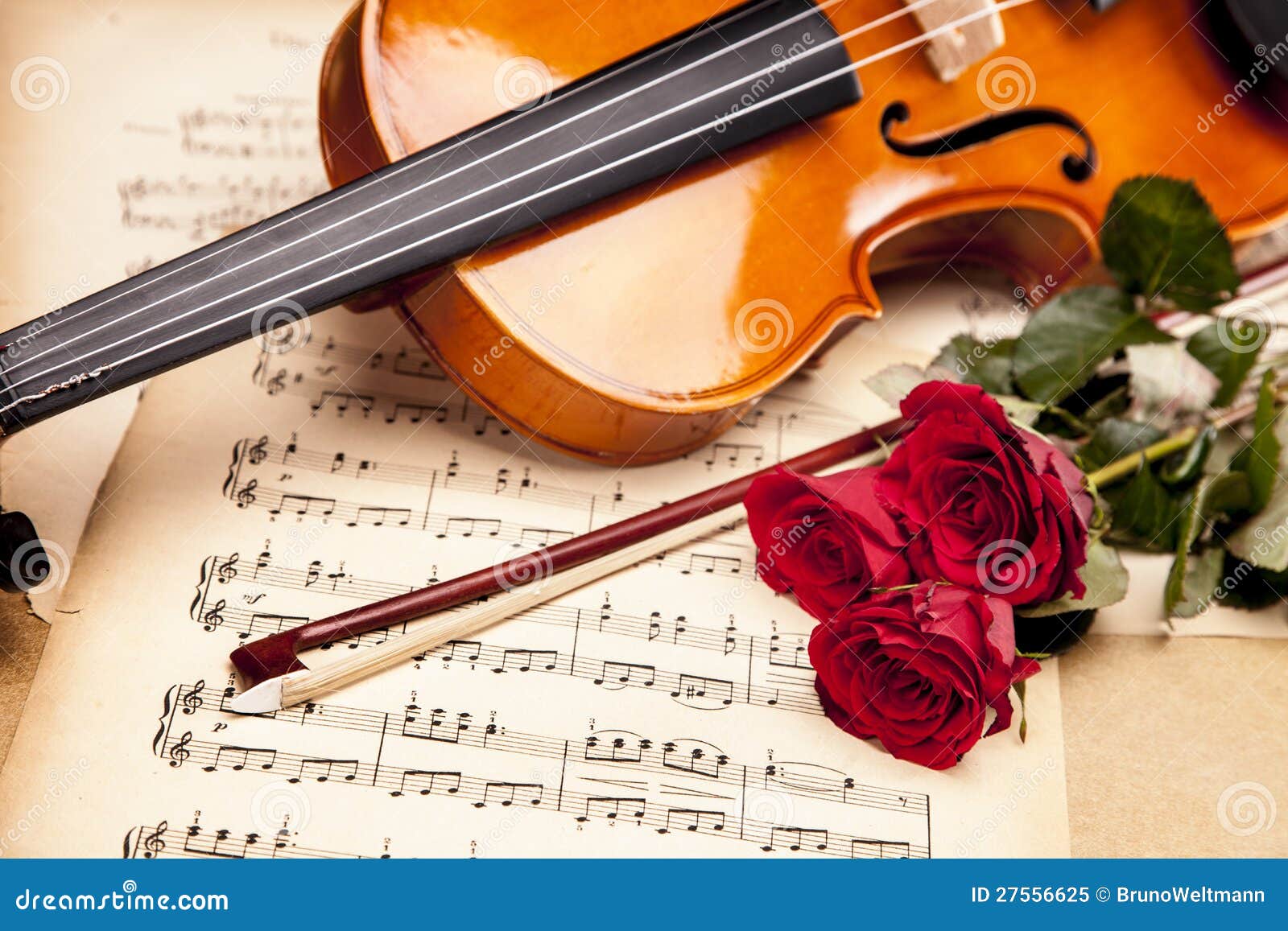 Violin Rose Wallpaper