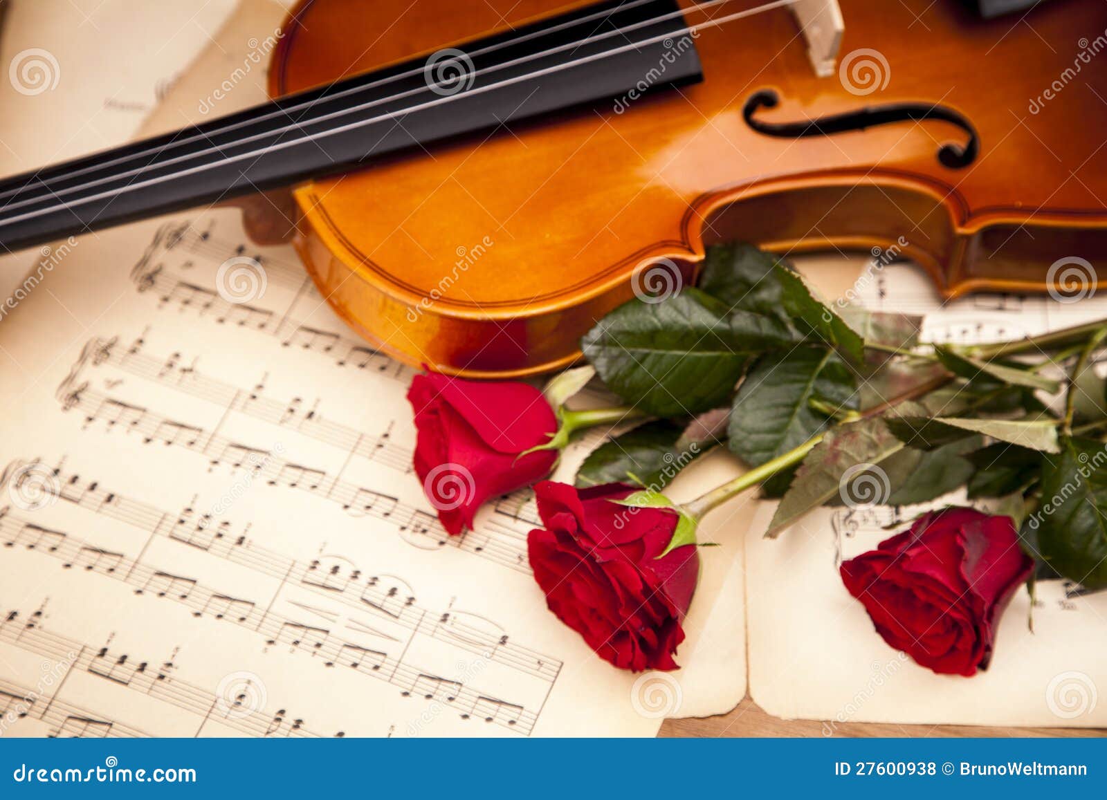 Beautiful Roses and Violin! Stock Photo - Image of viola, valentine ...