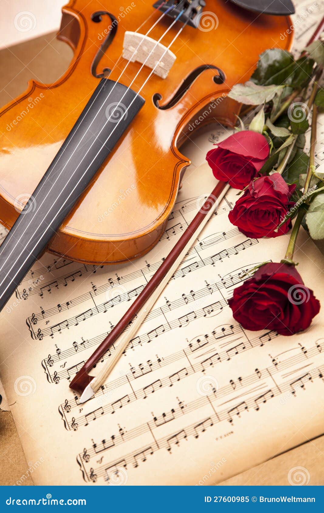 Beautiful Roses and Violin! Stock Image - Image of white, romantic ...