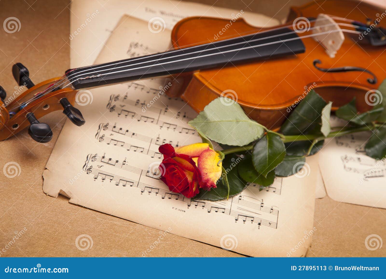 Beautiful Roses and Violin! Stock Image - Image of sound, gift: 27895113