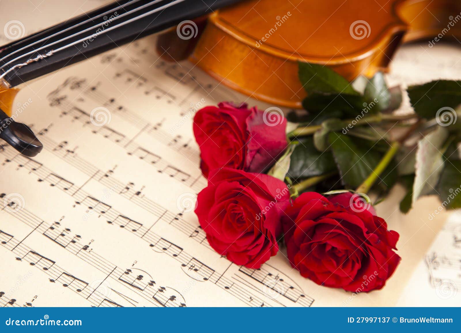 Beautiful Roses and Violin! Stock Image - Image of romantic, symbol ...