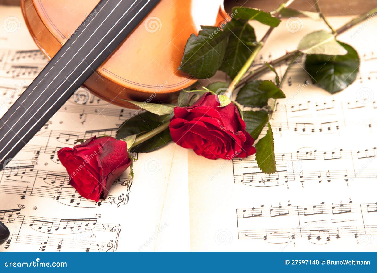 Beautiful Roses and Violin! Stock Photo - Image of musical, music: 27997140