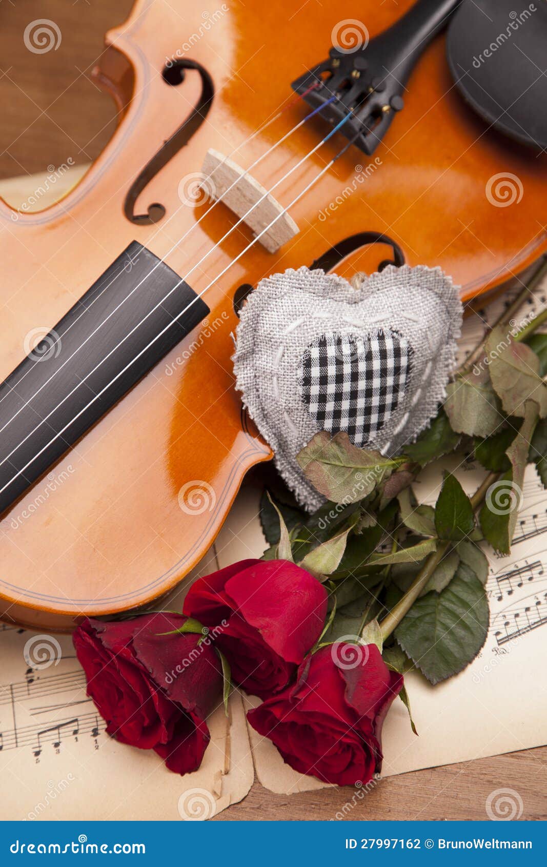 Beautiful Roses and Violin! Stock Photo - Image of sound, music: 27997162