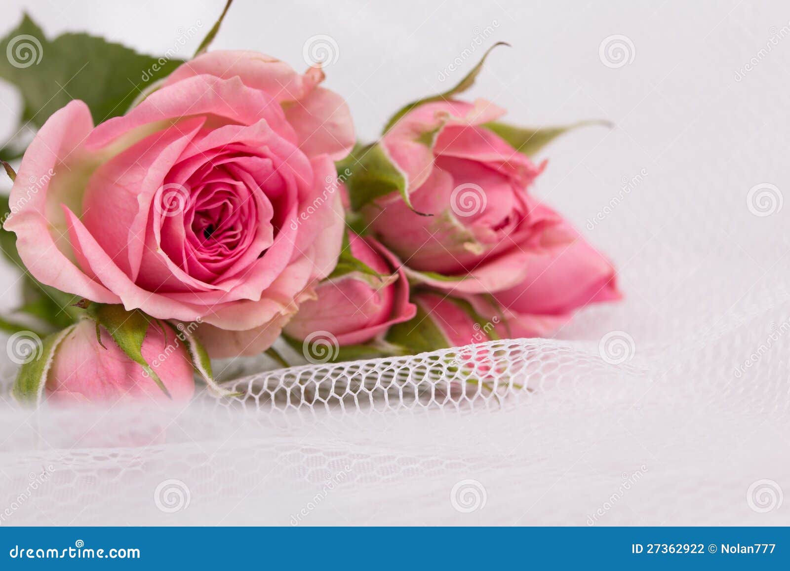Beautiful Roses and Weddings Rings Stock Photo - Image of green, style ...
