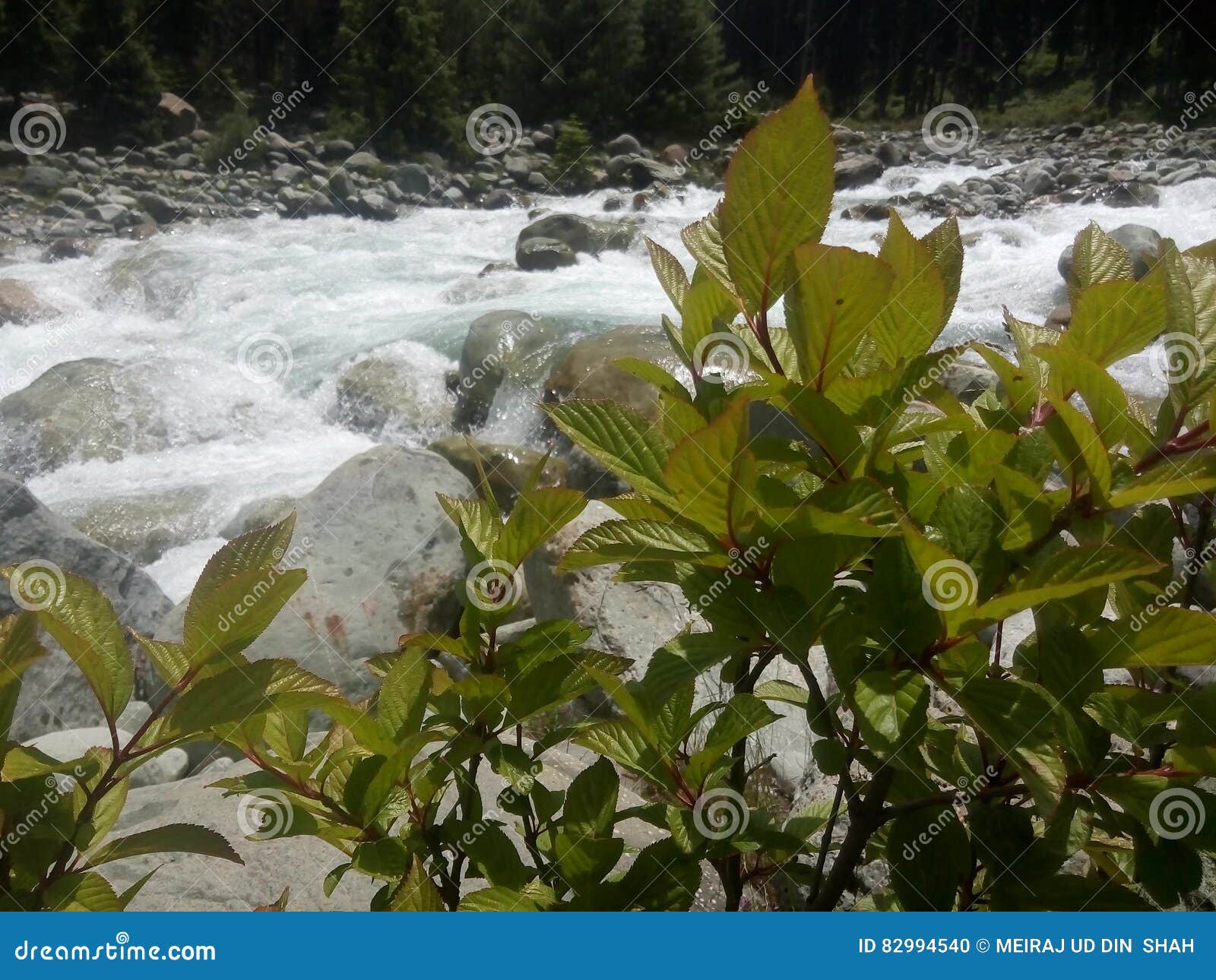 Beautiful Running River stock photo. Image of flora, ganga - 82994540