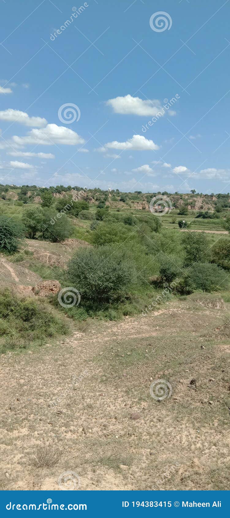 A beautiful rural area stock image. Image of plant, grass - 194383415