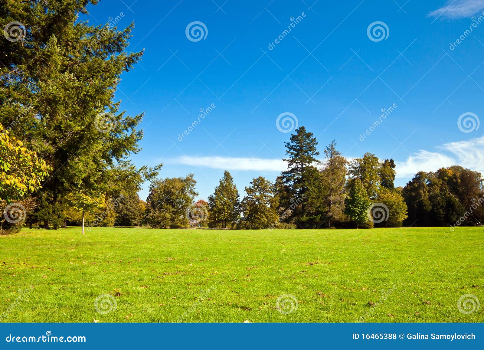 Beautiful rural landscape stock photo. Image of light - 16465388