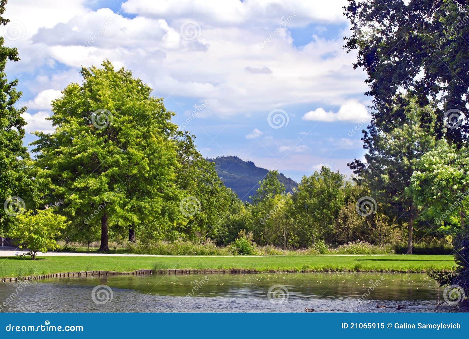 Beautiful rural landscape stock image. Image of foliage - 21065915