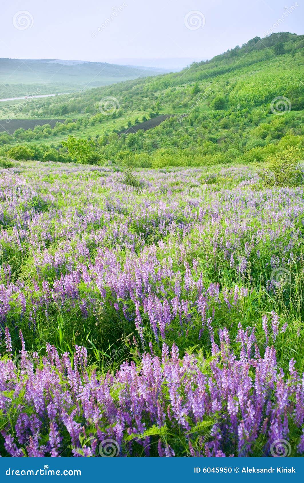 Beautiful rural landscape stock photo. Image of peaceful - 6045950