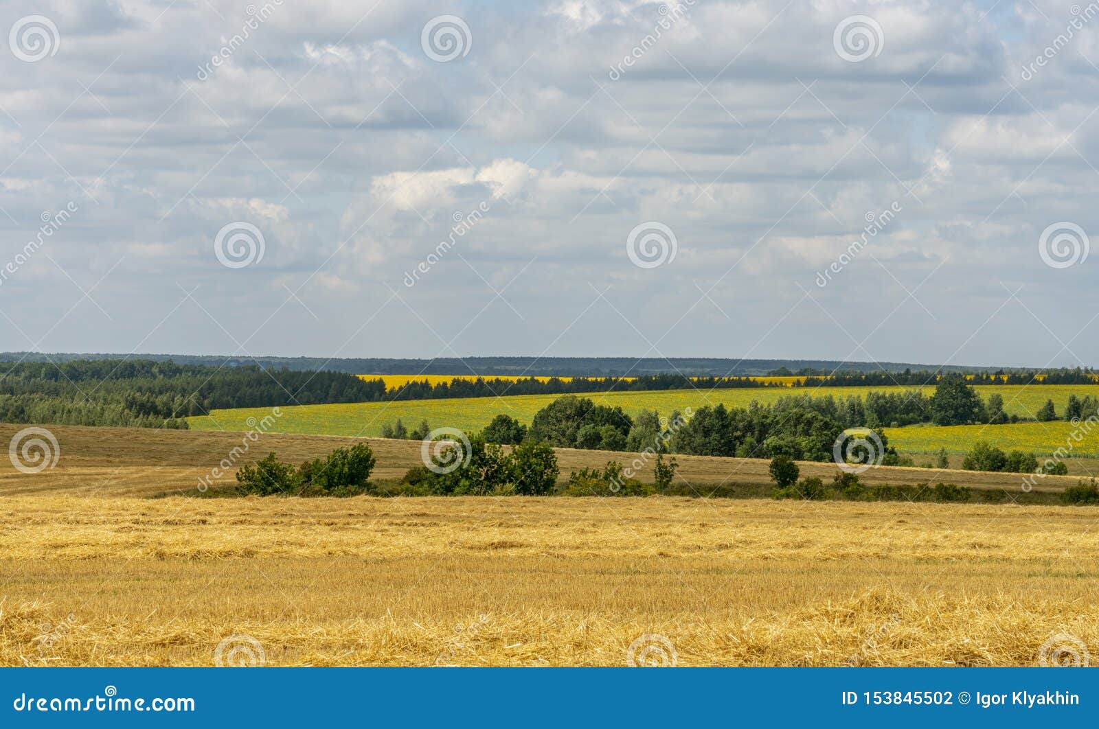 Beautiful Rural Landscape with Colorful Fields and Tree Plantations ...