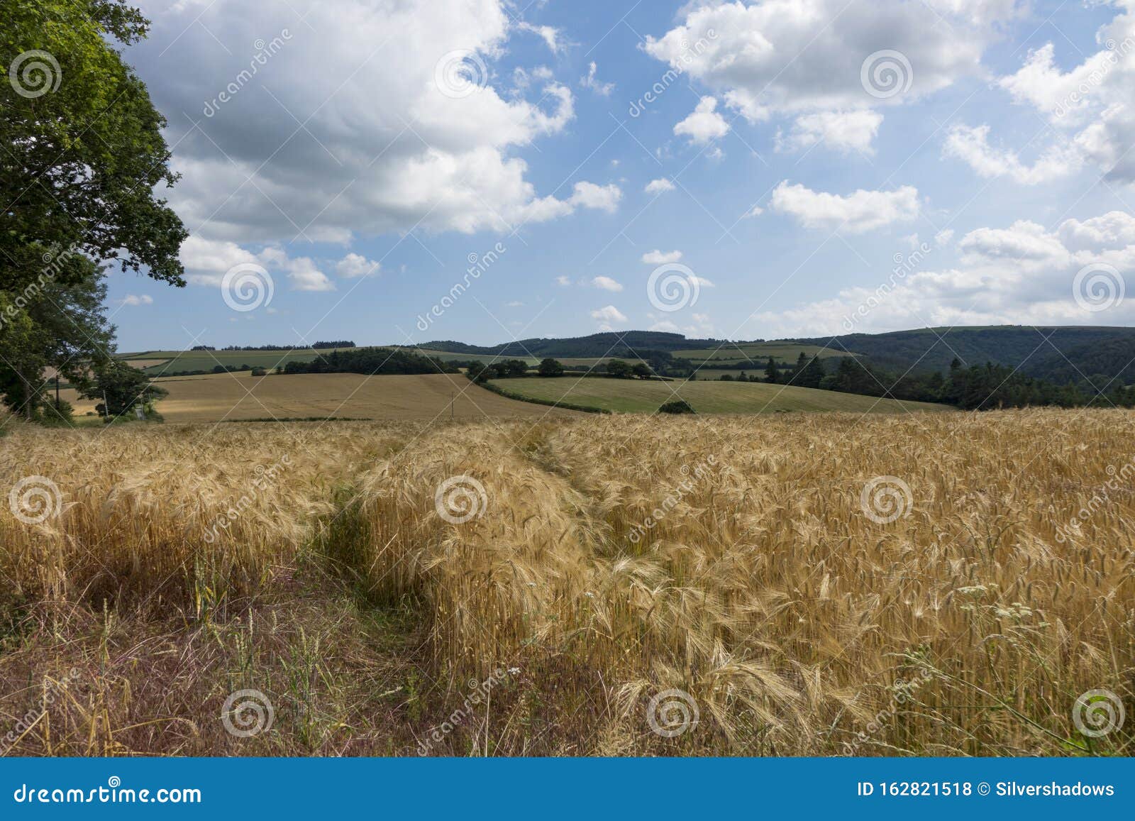 Beautiful Rural Landscape in Cornwall in Bright Sunshine Stock Photo ...
