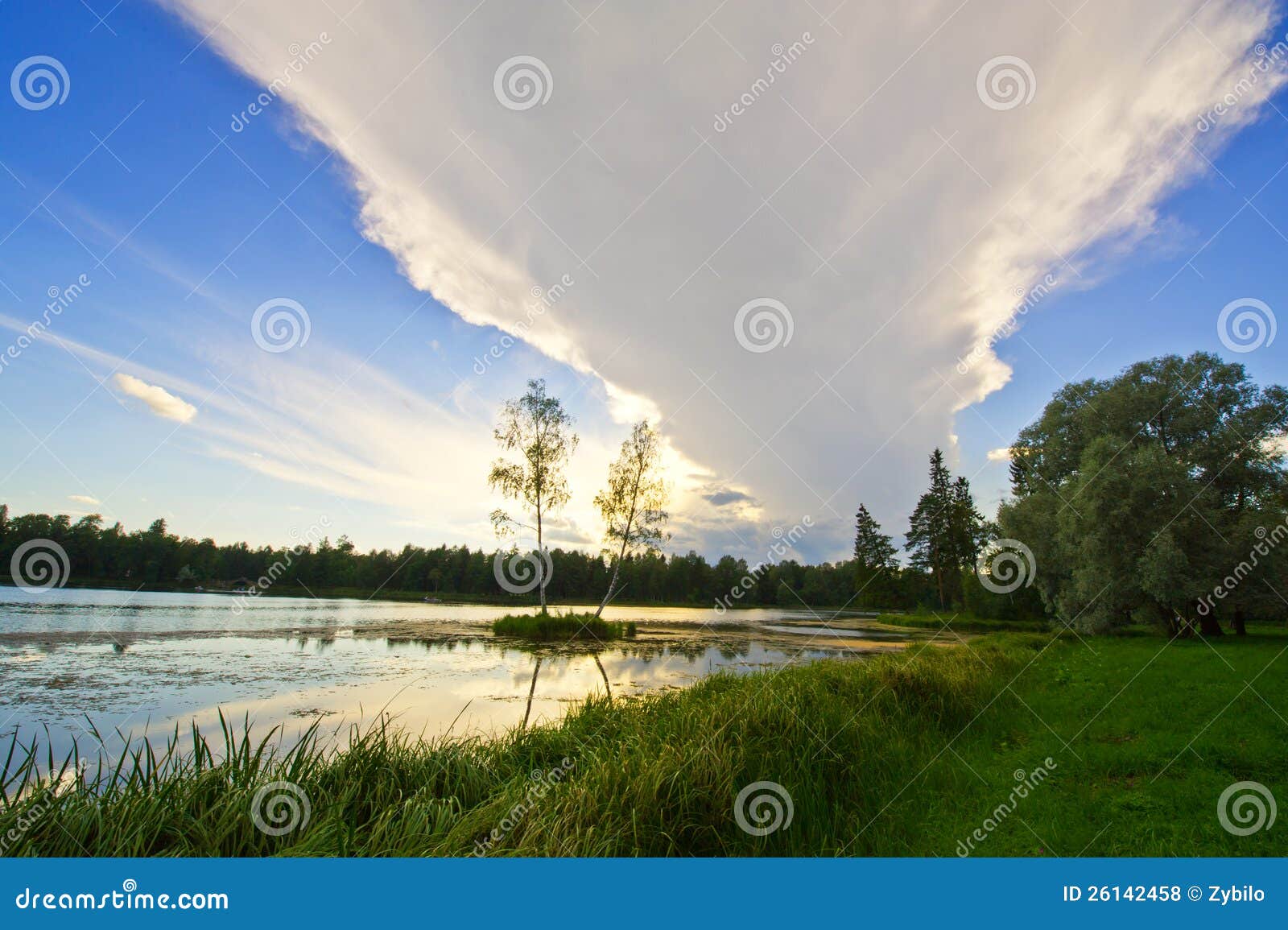 Beautiful Rural Landscape with a Lake Stock Photo - Image of grass ...
