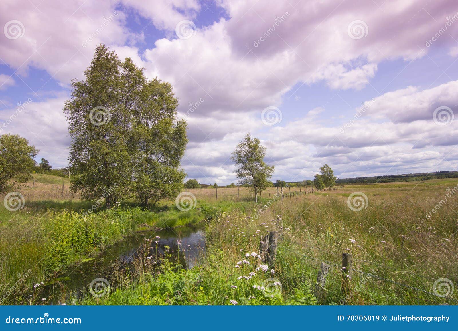 Beautiful Rural Landscape in Summer Stock Image - Image of water ...