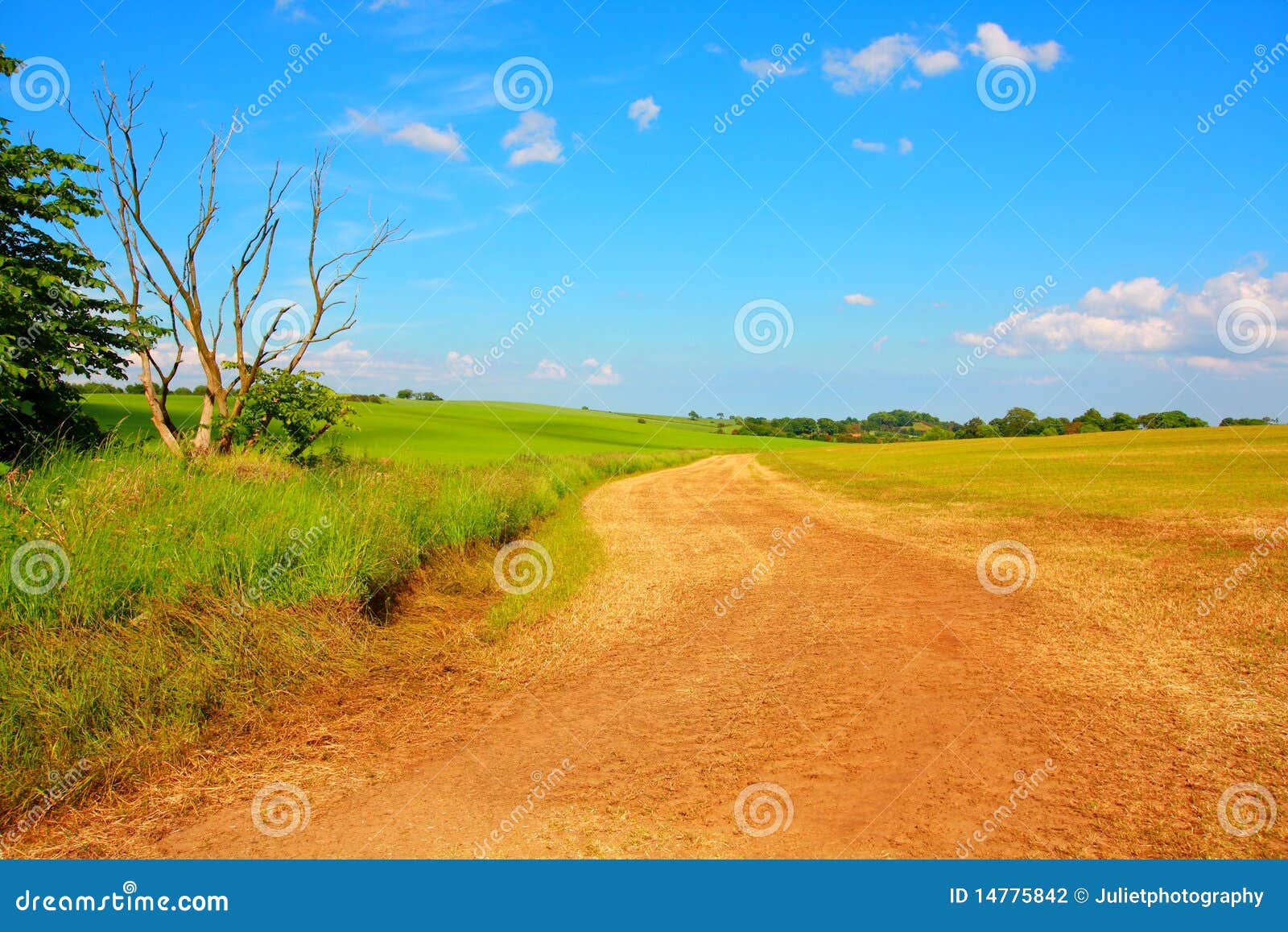 Beautiful rural road stock photo. Image of road, holidays - 14775842
