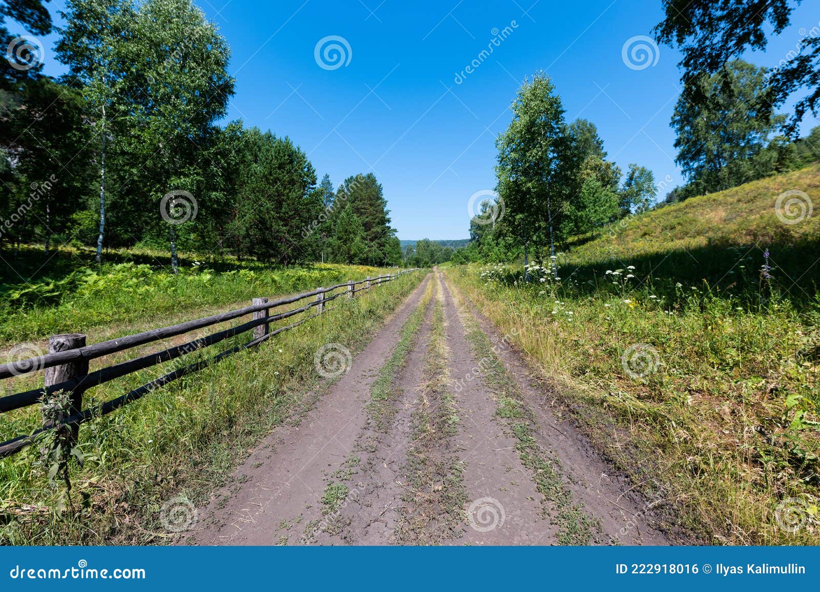 Rural Road among Nature Scene Stock Photo - Image of dirt, summer ...