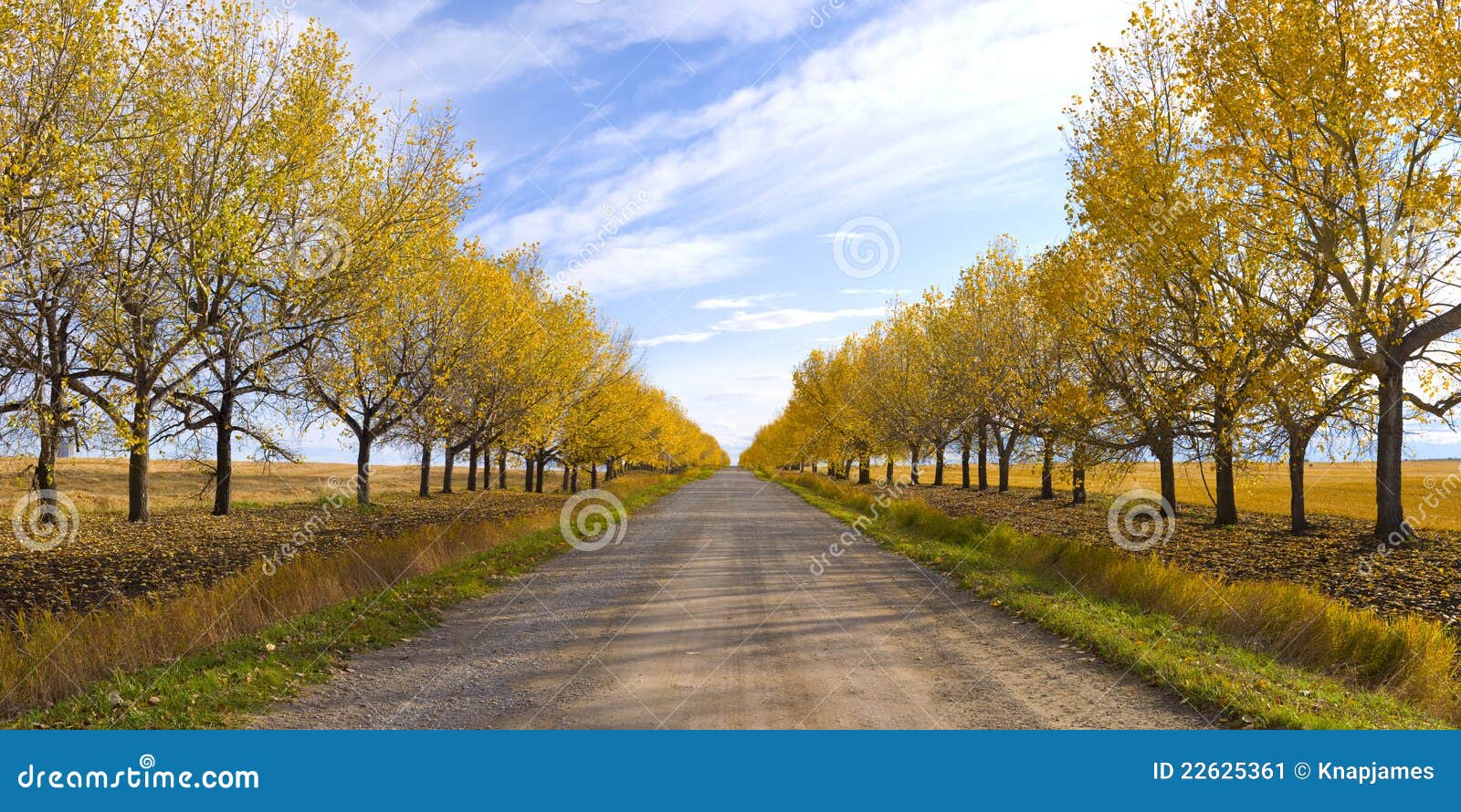 Beautiful Rural scene stock image. Image of lane, alberta - 22625361