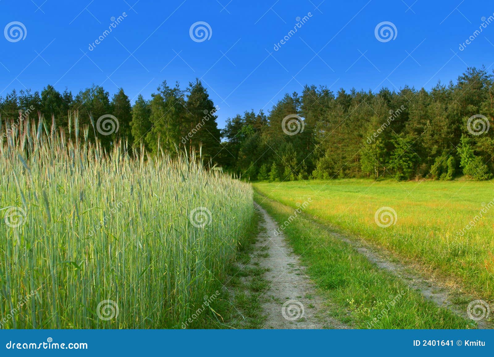 Beautiful rural scene stock image. Image of harvest, grass - 2401641