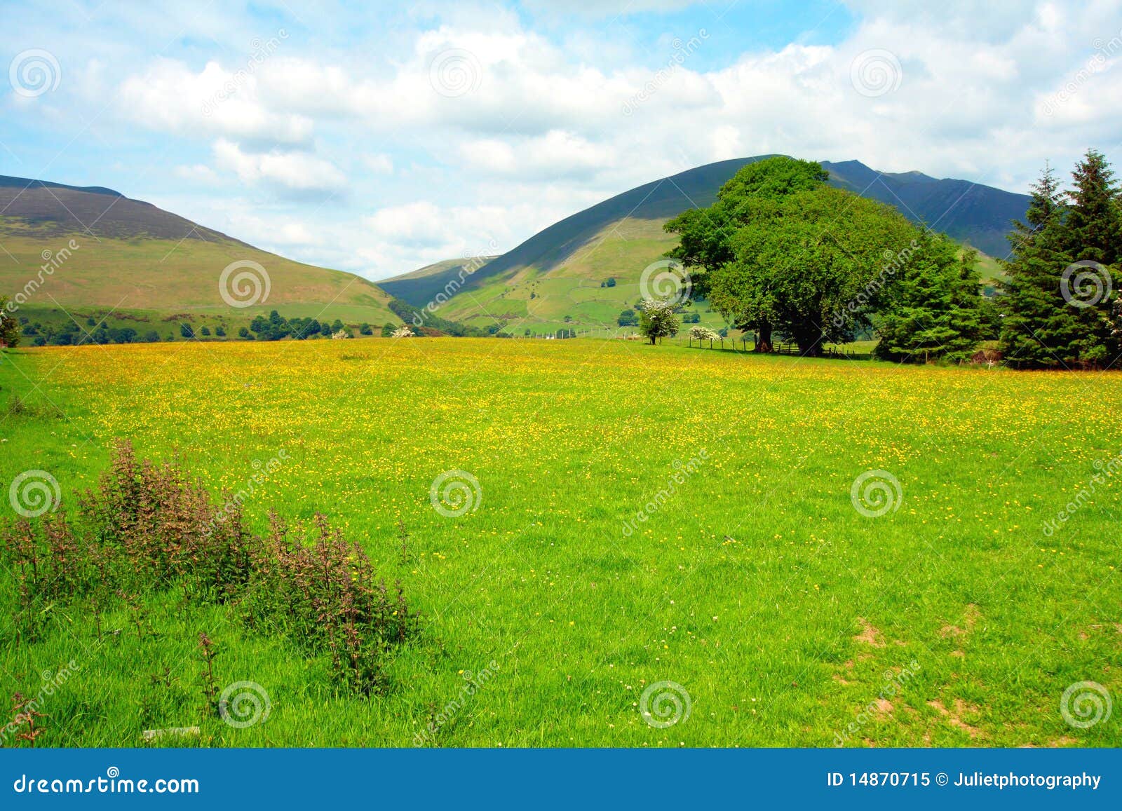 Beautiful Rural Scenery, Lake District Stock Image - Image of district ...