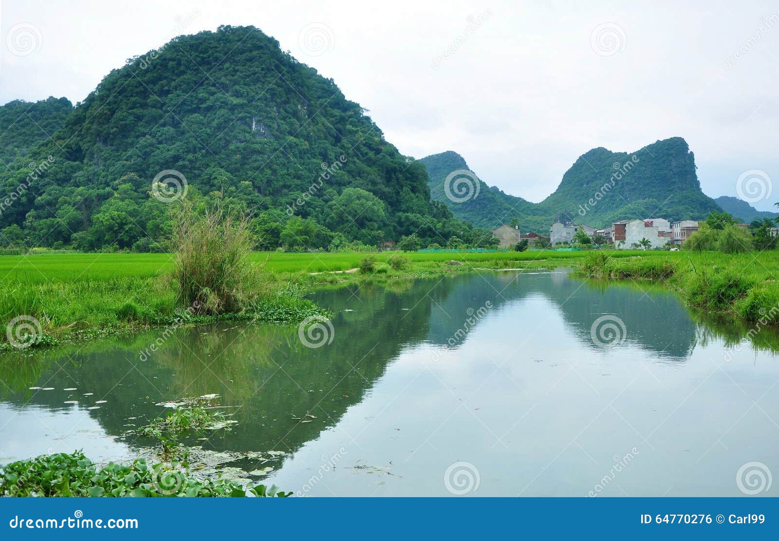 The Beautiful Rural Scenery in Spring Stock Photo - Image of water ...