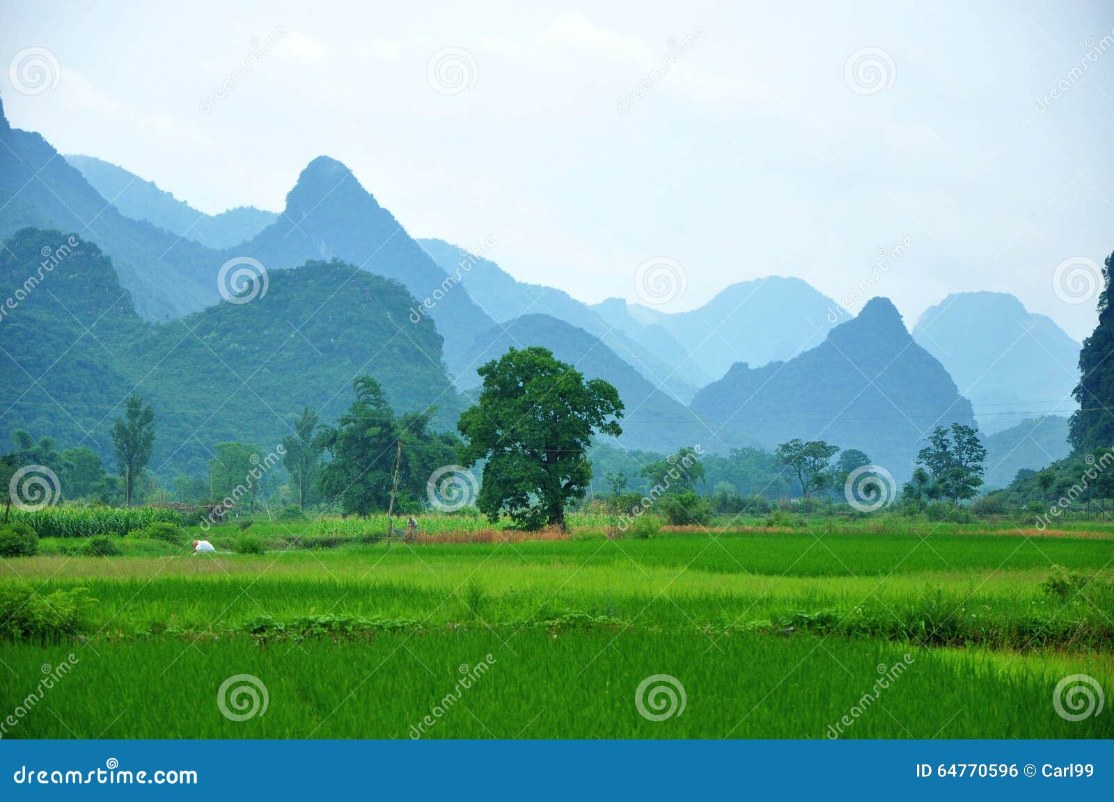 The Beautiful Rural Scenery in Spring Stock Photo - Image of hills ...