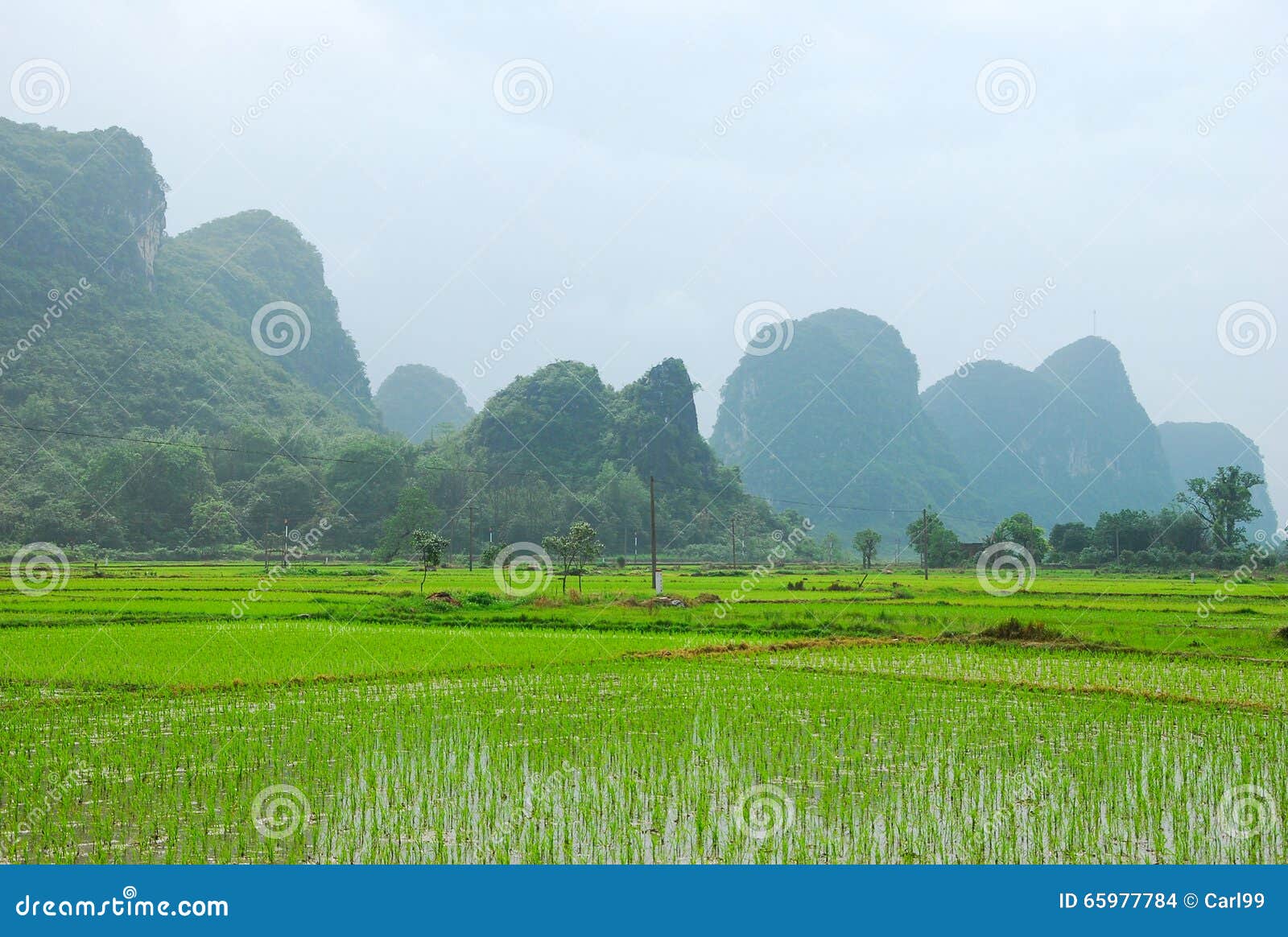 The Beautiful Rural Scenery in Spring Stock Photo - Image of landscape ...