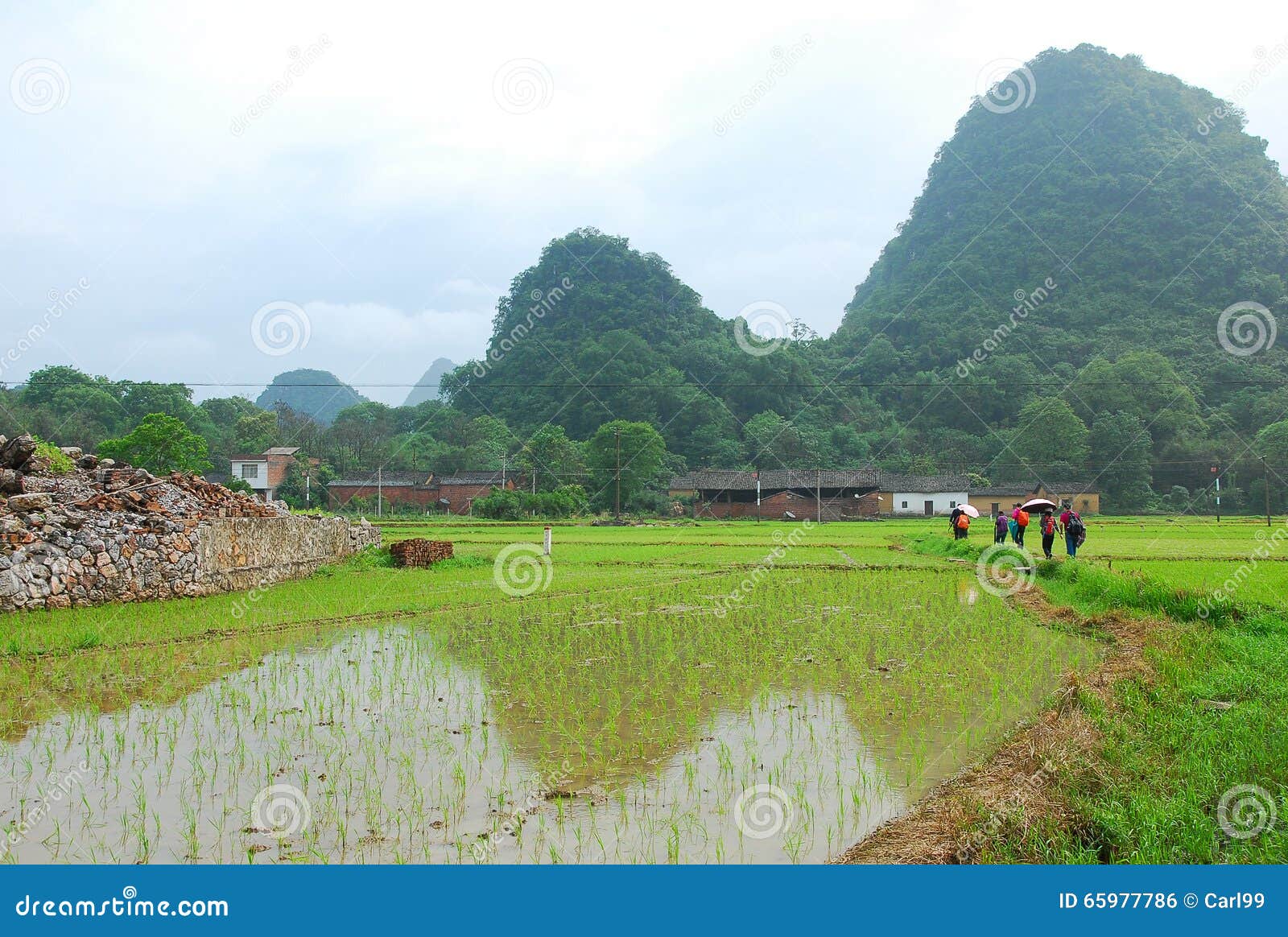 The Beautiful Rural Scenery in Spring Editorial Photo - Image of ...