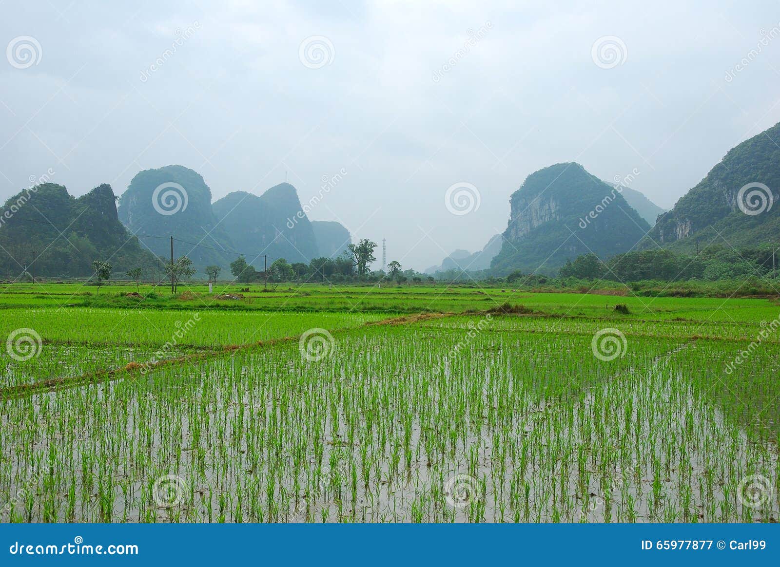 The Beautiful Rural Scenery in Spring Stock Image - Image of spring ...