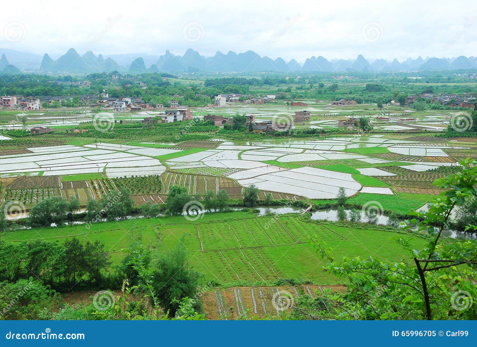 The Beautiful Rural Scenery in Spring Stock Image - Image of natural ...