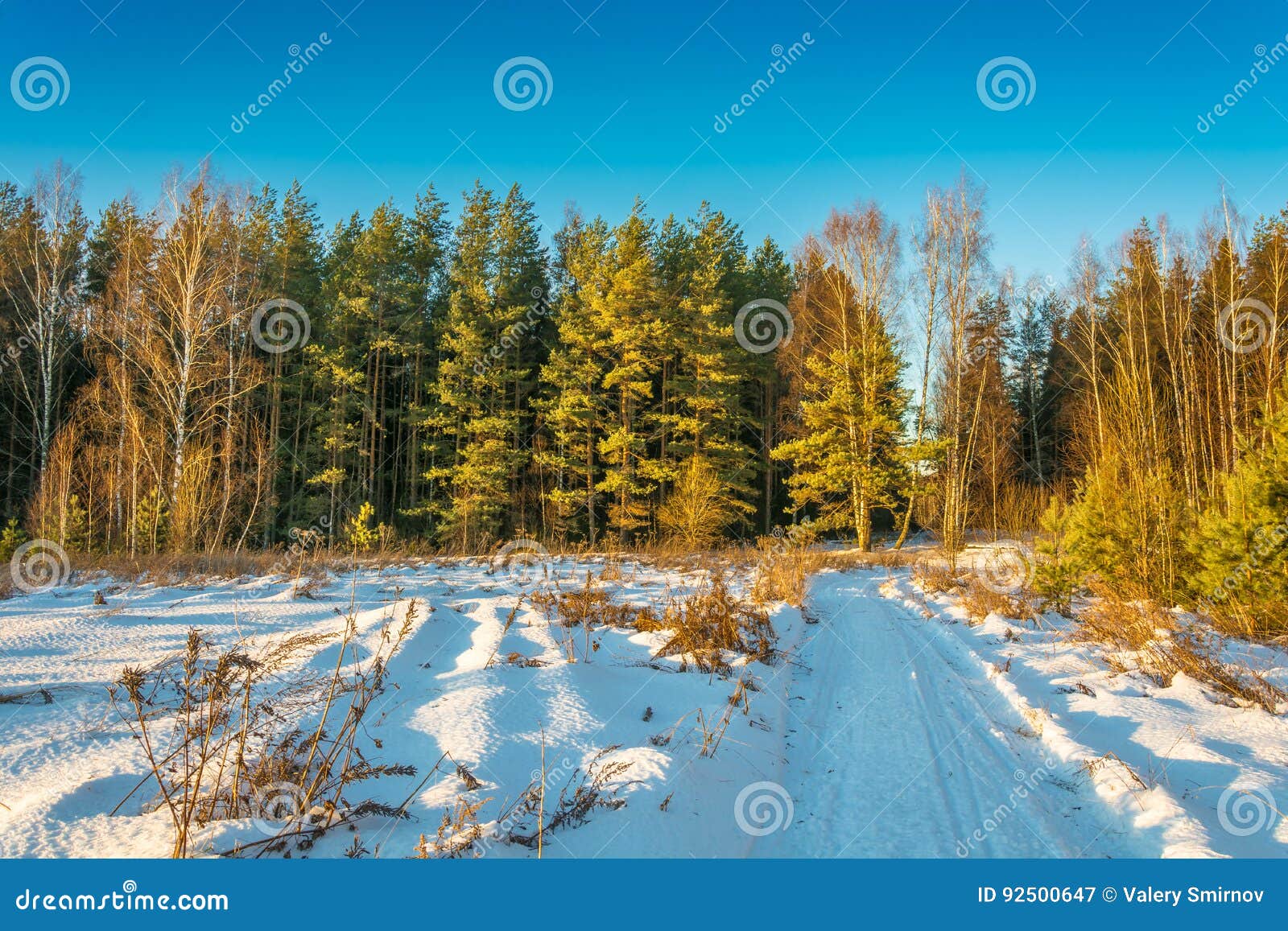 Beautiful Russian Landscape in the Setting Sun. Stock Image - Image of ...