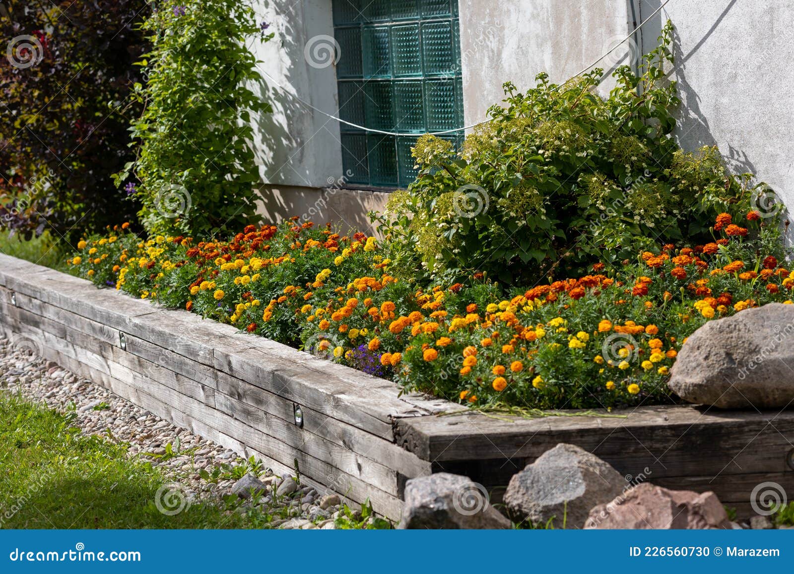 Beautiful Rustic Flower Bed Stock Photo - Image of flora, outdoor ...