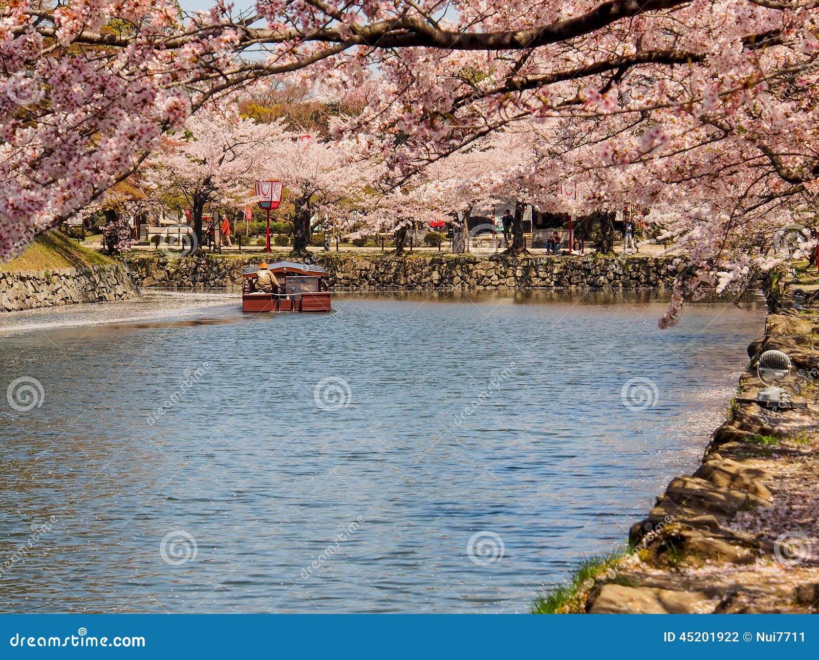 Beautiful Sakura Or Cherry Blossom In Ueno Park Stock Photography ...