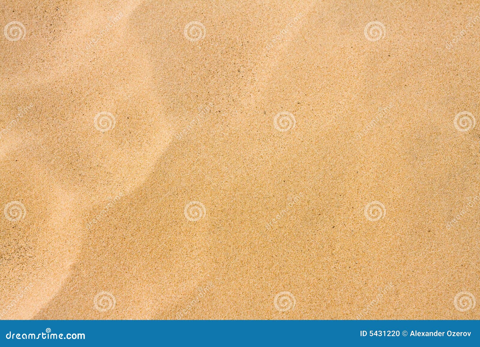 Beautiful sand background stock photo. Image of sandy - 5431220